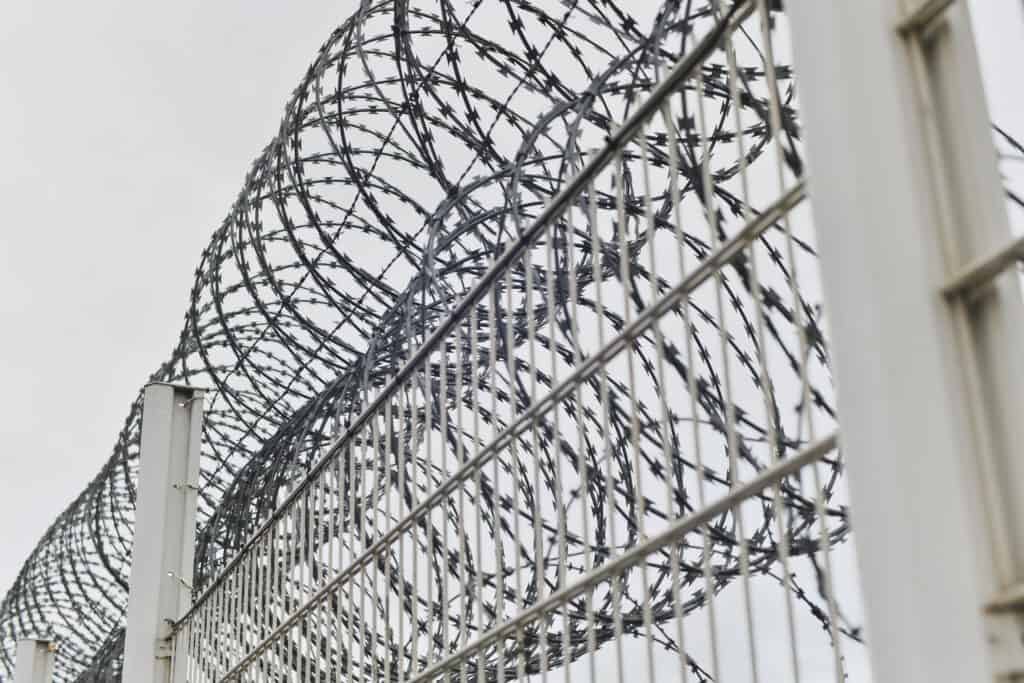 Why are Barbed Wires Important in Security? - Los Angeles Fence Builders